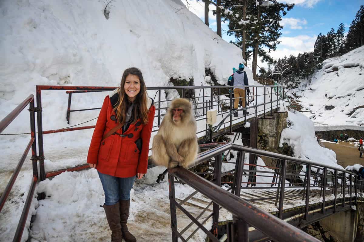 How to see Snow Monkeys in Japan - Aplink Europa.LT