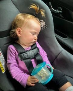 26 Healthy & Easy Travel Snacks for Toddlers and Babies | Two Wandering ...