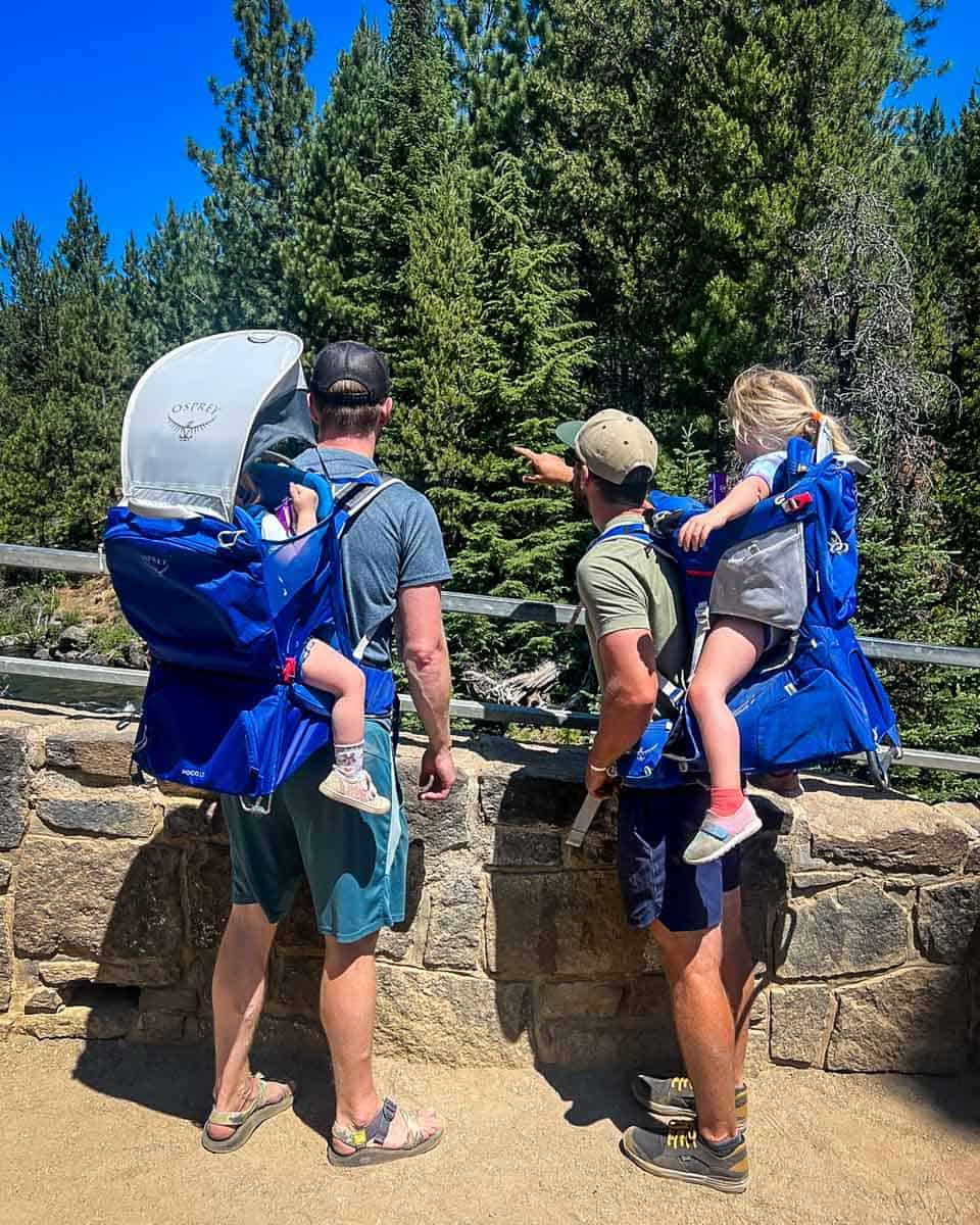 Read This Before You Go Hiking with a Toddler! (essential tips)