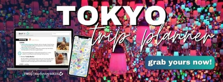 Where to Find the Best Ramen in Tokyo [Guide + Free Map!] | Two ...
